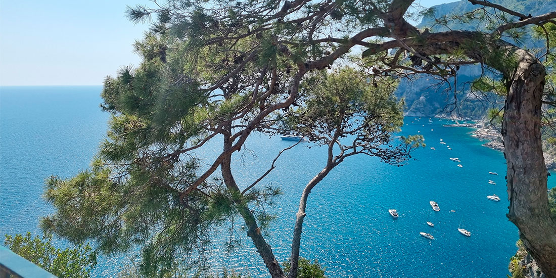 Tour of Capri - Tourist Guide Naples - Private and group guided tours
